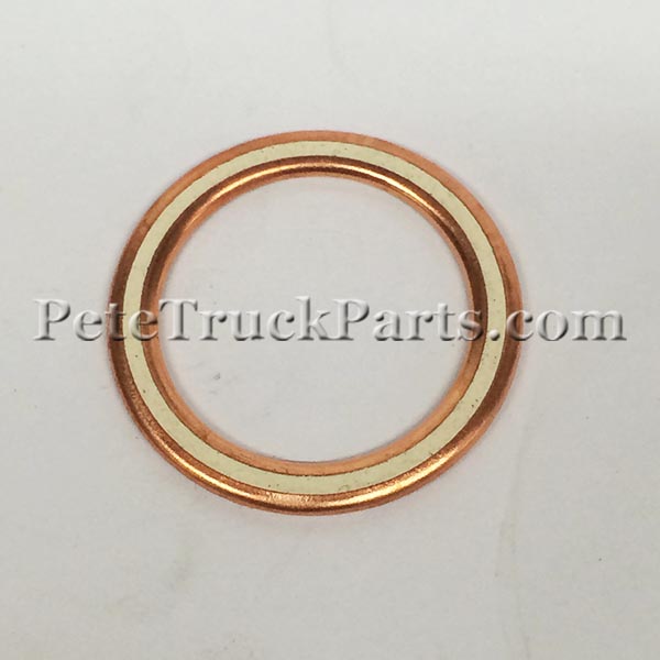 PLUG GASKET 2A3398